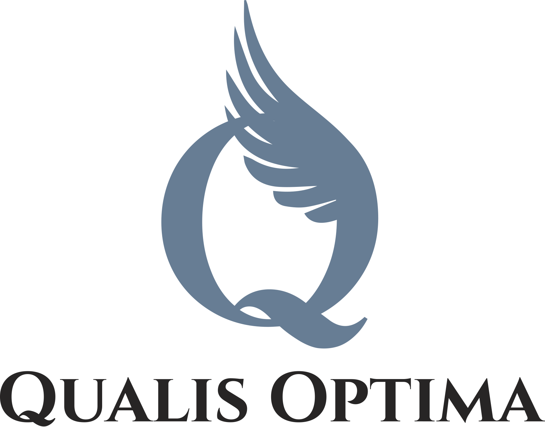 Contacto - QualisOptima